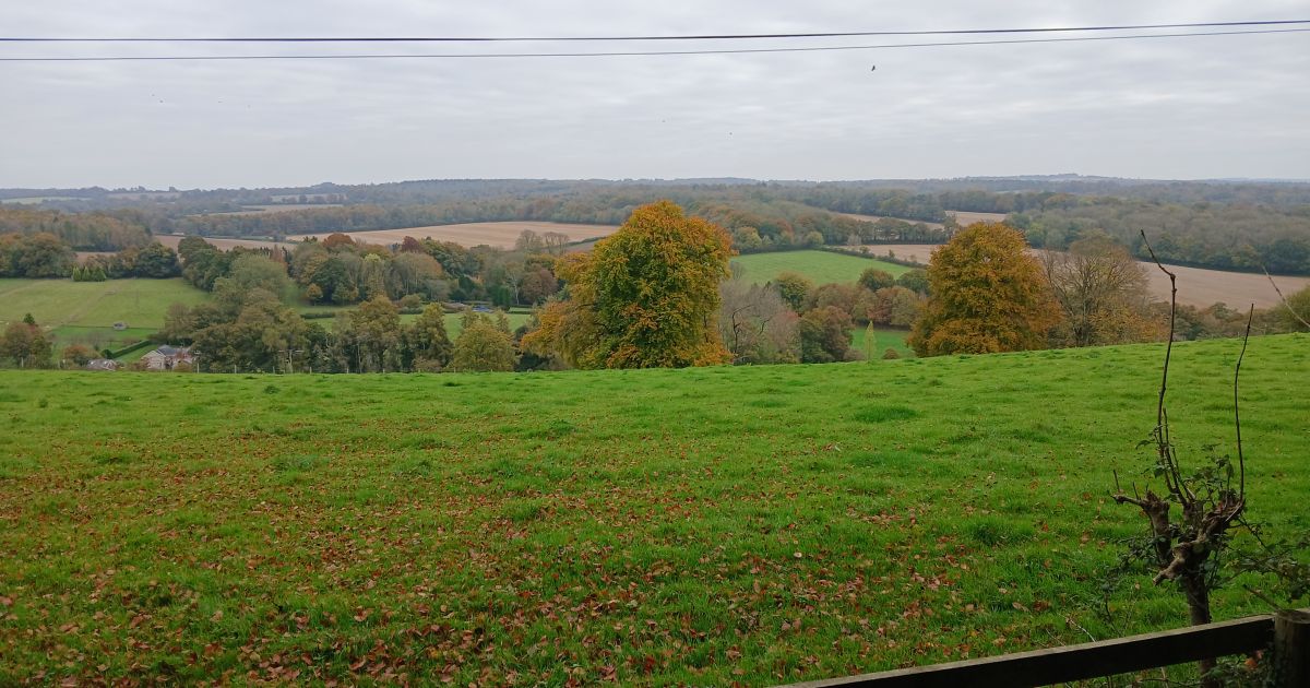 Walk NOW FULL, No spaces available. Upham walk of 5.1 miles - Ramblers